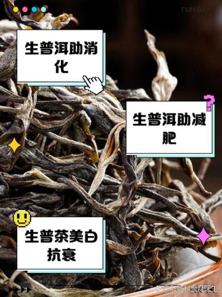 喝普洱茶的好处有哪些_普洱茶怎么喝才健康-第3张图片-山城妙识 喝普洱茶的好处有哪些_普洱茶怎么喝才健康-第3张图片-山城妙识