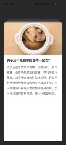 鸽子汤的营养价值_鸽子汤的禁忌人群-第2张图片-山城妙识 鸽子汤的营养价值_鸽子汤的禁忌人群-第2张图片-山城妙识