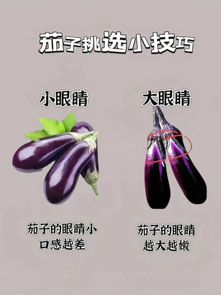 蔬菜图片识别方法_如何挑选新鲜蔬菜-第1张图片-山城妙识 蔬菜图片识别方法_如何挑选新鲜蔬菜-第1张图片-山城妙识