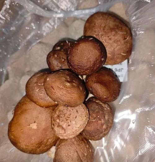 新鲜香菇需要焯水吗_焯水后营养会流失吗-第1张图片-山城妙识 新鲜香菇需要焯水吗_焯水后营养会流失吗-第1张图片-山城妙识