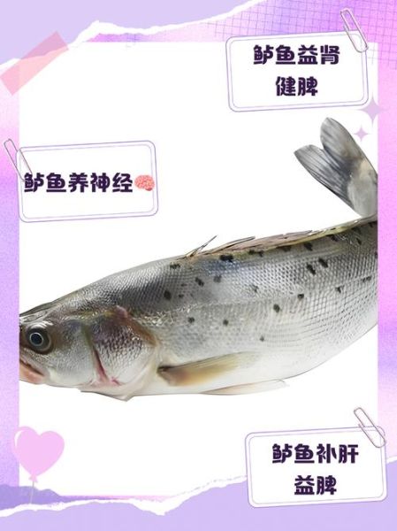 女人常吃鲈鱼的好处_鲈鱼对女性有哪些营养价值-第1张图片-山城妙识 女人常吃鲈鱼的好处_鲈鱼对女性有哪些营养价值-第1张图片-山城妙识