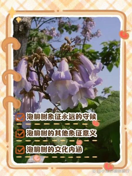 梧桐树寓意是什么_梧桐树象征爱情吗-第1张图片-山城妙识 梧桐树寓意是什么_梧桐树象征爱情吗-第1张图片-山城妙识