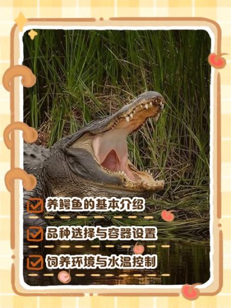鳄鱼养殖基地赚钱吗_鳄鱼养殖基地需要什么手续-第1张图片-山城妙识 鳄鱼养殖基地赚钱吗_鳄鱼养殖基地需要什么手续-第1张图片-山城妙识