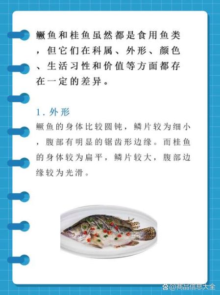 桂鱼和鲑鱼的区别_哪个更好吃-第1张图片-山城妙识 桂鱼和鲑鱼的区别_哪个更好吃-第1张图片-山城妙识