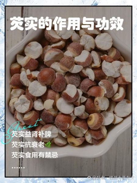 芡实的功效与作用及主治_芡实怎么吃最养脾胃-第1张图片-山城妙识 芡实的功效与作用及主治_芡实怎么吃最养脾胃-第1张图片-山城妙识