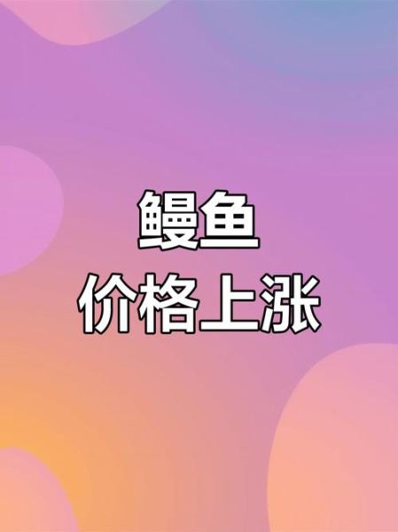 鳗鱼价格多少钱一条_鳗鱼一条多少钱-第1张图片-山城妙识 鳗鱼价格多少钱一条_鳗鱼一条多少钱-第1张图片-山城妙识