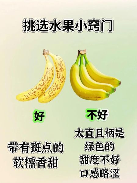 春季水果有哪些_春季水果怎么挑-第1张图片-山城妙识