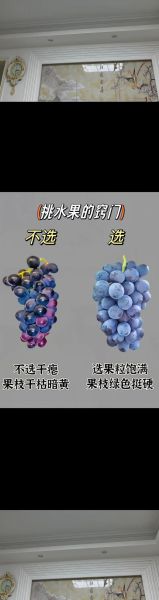 春季水果有哪些_春季水果怎么挑-第2张图片-山城妙识