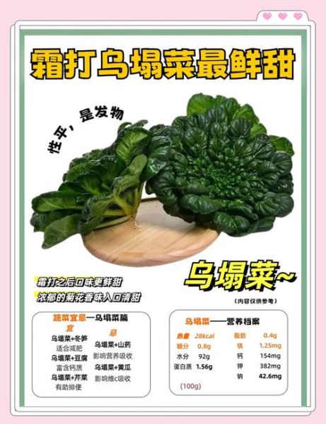 孕妇能吃乌塌菜吗_乌塌菜对孕妇有什么好处-第1张图片-山城妙识