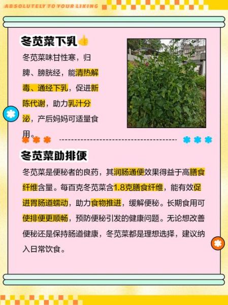 冬菜可以用什么代替_冬菜替代品推荐-第3张图片-山城妙识