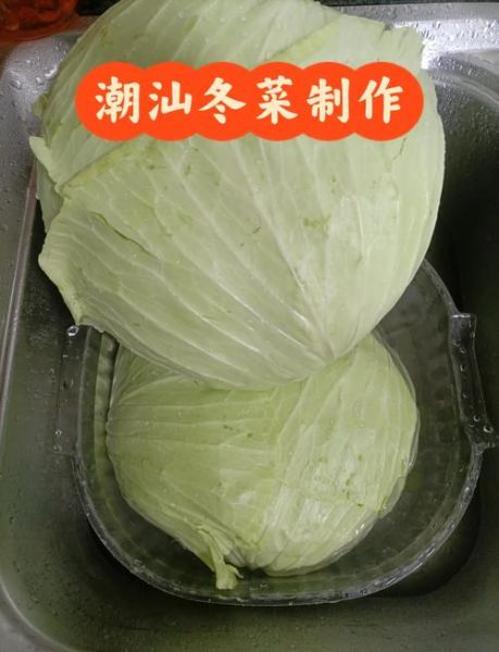 冬菜可以用什么代替_冬菜替代品推荐-第2张图片-山城妙识