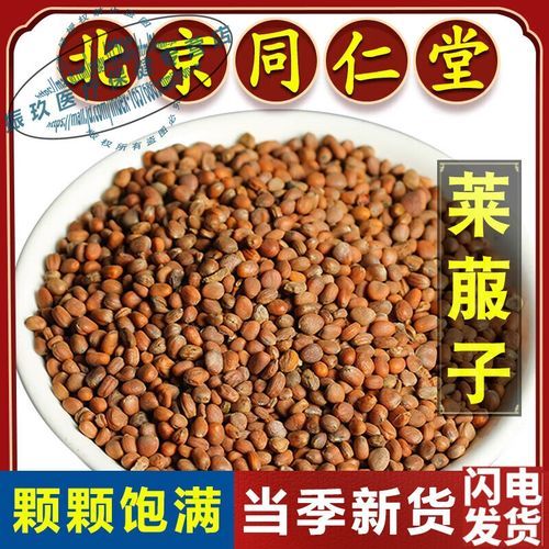 莱菔子是哪种萝卜籽_莱菔子与白萝卜籽区别-第3张图片-山城妙识