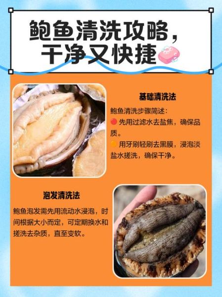 鲍鱼怎么清洗才干净_鲍鱼的家常做法步骤-第1张图片-山城妙识