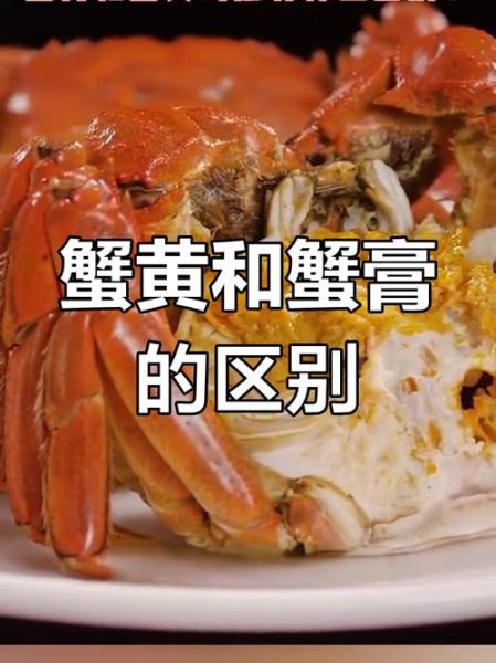 蟹黄在哪个部位_蟹黄和蟹膏的区别图解-第2张图片-山城妙识
