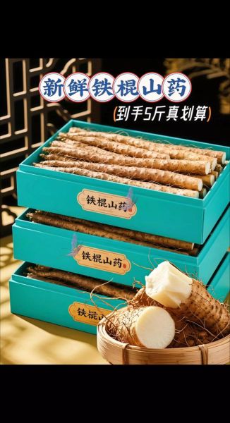 铁棍山药粥怎么做_铁棍山药粥的功效与禁忌-第3张图片-山城妙识