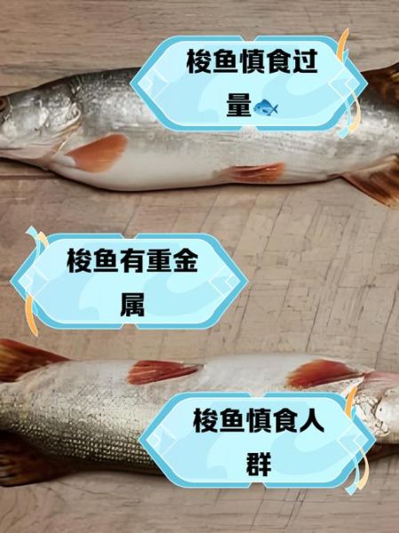 大梭鱼怎么做好吃_大梭鱼家常做法-第1张图片-山城妙识
