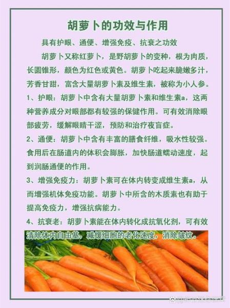 胡萝卜有哪些营养成分_胡萝卜怎么吃最营养-第2张图片-山城妙识