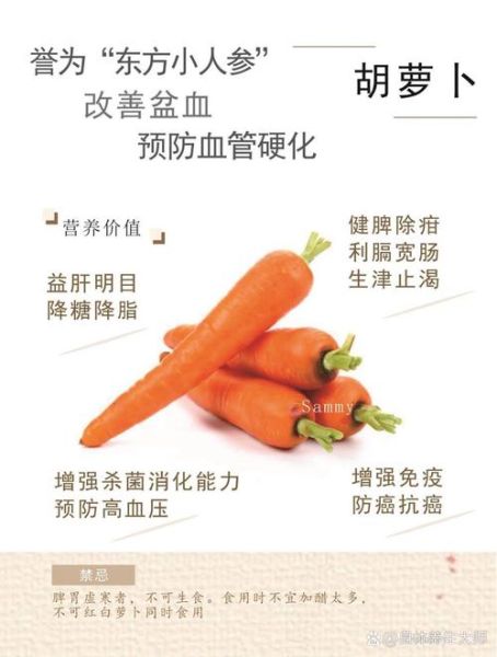胡萝卜有哪些营养成分_胡萝卜怎么吃最营养-第3张图片-山城妙识