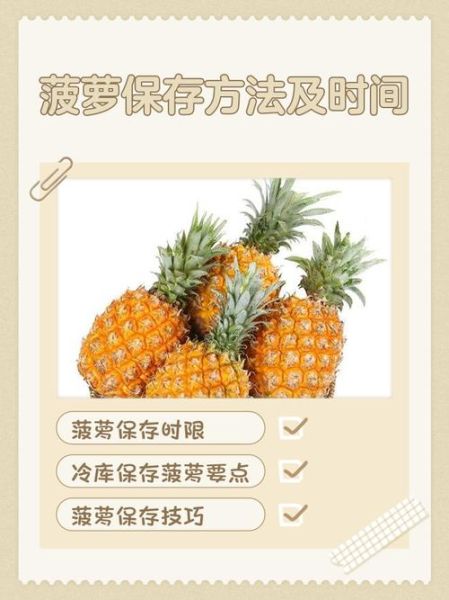 菠萝笔记app怎么用_菠萝笔记app安全吗-第1张图片-山城妙识