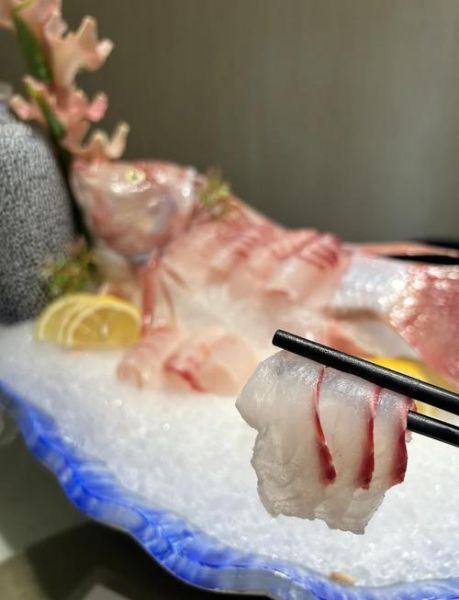 鲷鱼刺身怎么做_鲷鱼刺身安全吗-第2张图片-山城妙识