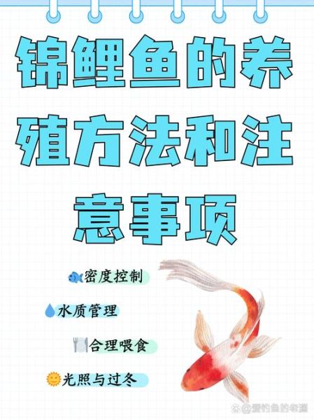 鱼养殖技术_如何提高成活率-第2张图片-山城妙识