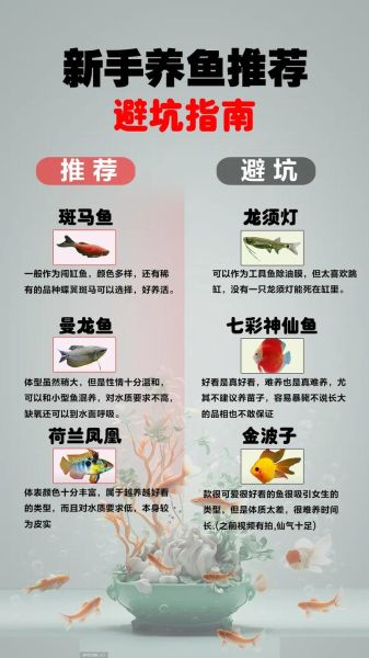 鱼养殖技术_如何提高成活率-第3张图片-山城妙识