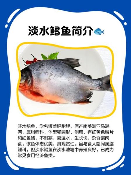 淡水鲳鱼怎么做好吃_淡水鲳鱼的家常做法-第1张图片-山城妙识