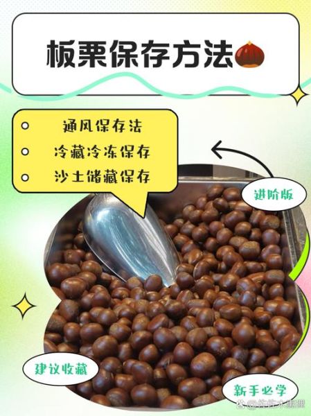 生板栗怎么保存一年_生板栗长期保存方法-第1张图片-山城妙识