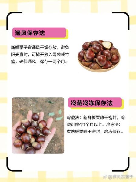 生板栗怎么保存一年_生板栗长期保存方法-第3张图片-山城妙识