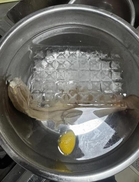冰冻河蚌肉怎么做好吃_冰冻河蚌肉的家常做法-第1张图片-山城妙识 冰冻河蚌肉怎么做好吃_冰冻河蚌肉的家常做法-第1张图片-山城妙识