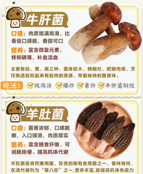 食用菌怎么保存_食用菌有哪些营养价值-第3张图片-山城妙识 食用菌怎么保存_食用菌有哪些营养价值-第3张图片-山城妙识