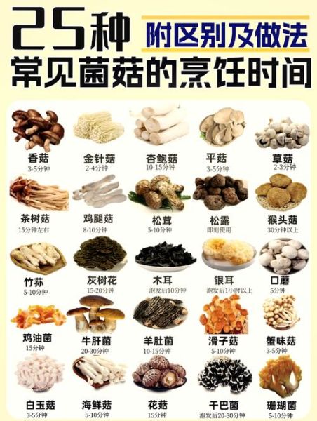 食用菌怎么保存_食用菌有哪些营养价值-第2张图片-山城妙识 食用菌怎么保存_食用菌有哪些营养价值-第2张图片-山城妙识