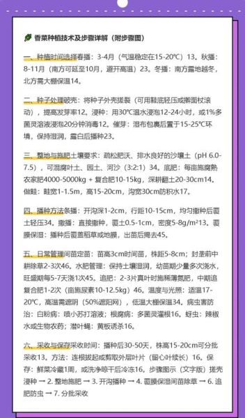 香菜什么时候种最合适_香菜种植方法步骤-第2张图片-山城妙识 香菜什么时候种最合适_香菜种植方法步骤-第2张图片-山城妙识