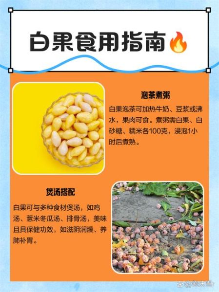 白果怎么吃_白果一天吃多少粒-第2张图片-山城妙识