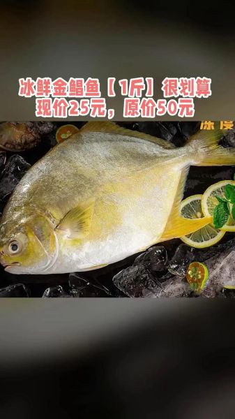 金鲳鱼多少钱一斤_金鲳鱼价格最新行情-第3张图片-山城妙识 金鲳鱼多少钱一斤_金鲳鱼价格最新行情-第3张图片-山城妙识