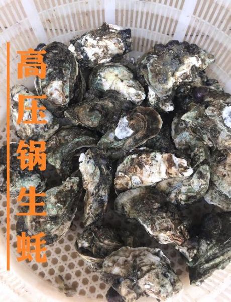 高压锅生蚝要多久_高压锅生蚝做法步骤-第3张图片-山城妙识 高压锅生蚝要多久_高压锅生蚝做法步骤-第3张图片-山城妙识