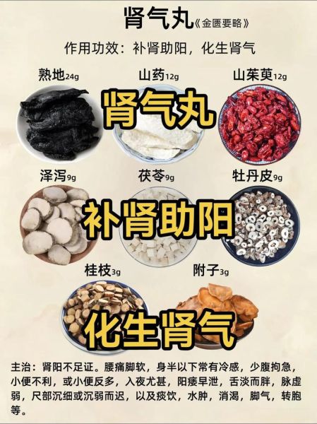 补肾中药有哪些_肾虚吃什么中药好-第1张图片-山城妙识 补肾中药有哪些_肾虚吃什么中药好-第1张图片-山城妙识