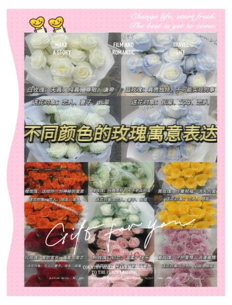 玫瑰花语大全短句子_不同颜色玫瑰代表什么-第1张图片-山城妙识 玫瑰花语大全短句子_不同颜色玫瑰代表什么-第1张图片-山城妙识