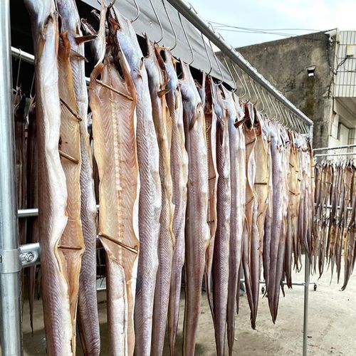 鳗鱼多少钱一斤_鳗鱼价格行情-第3张图片-山城妙识 鳗鱼多少钱一斤_鳗鱼价格行情-第3张图片-山城妙识