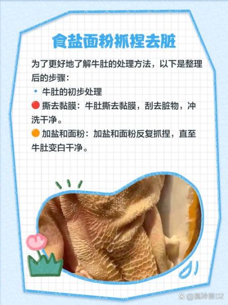 牛肚怎么清洗_牛肚清洗方法-第3张图片-山城妙识 牛肚怎么清洗_牛肚清洗方法-第3张图片-山城妙识