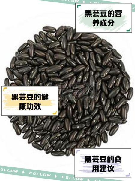 黑芸豆的功效与作用_黑芸豆怎么煮容易烂-第1张图片-山城妙识 黑芸豆的功效与作用_黑芸豆怎么煮容易烂-第1张图片-山城妙识