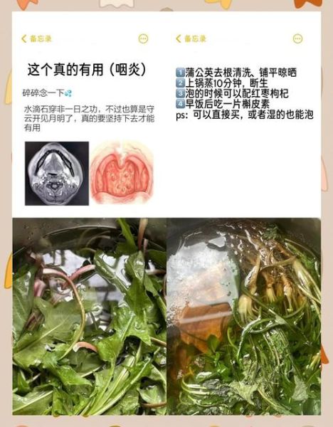 蒲公英治咽炎真的有用吗_慢性咽炎喝多久见效-第1张图片-山城妙识 蒲公英治咽炎真的有用吗_慢性咽炎喝多久见效-第1张图片-山城妙识