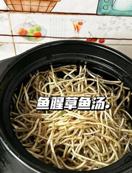 鱼汤怎么烧不腥_鱼汤去腥技巧-第1张图片-山城妙识 鱼汤怎么烧不腥_鱼汤去腥技巧-第1张图片-山城妙识