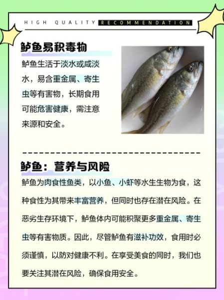 吃鲈鱼不能和什么一起吃_鲈鱼禁忌人群有哪些-第3张图片-山城妙识 吃鲈鱼不能和什么一起吃_鲈鱼禁忌人群有哪些-第3张图片-山城妙识
