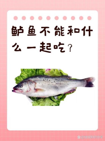 吃鲈鱼不能和什么一起吃_鲈鱼禁忌人群有哪些-第1张图片-山城妙识 吃鲈鱼不能和什么一起吃_鲈鱼禁忌人群有哪些-第1张图片-山城妙识
