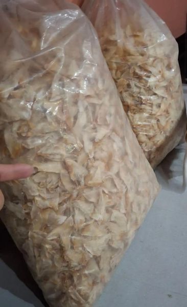 鱼翅多少钱一斤_鱼翅价格表-第3张图片-山城妙识 鱼翅多少钱一斤_鱼翅价格表-第3张图片-山城妙识
