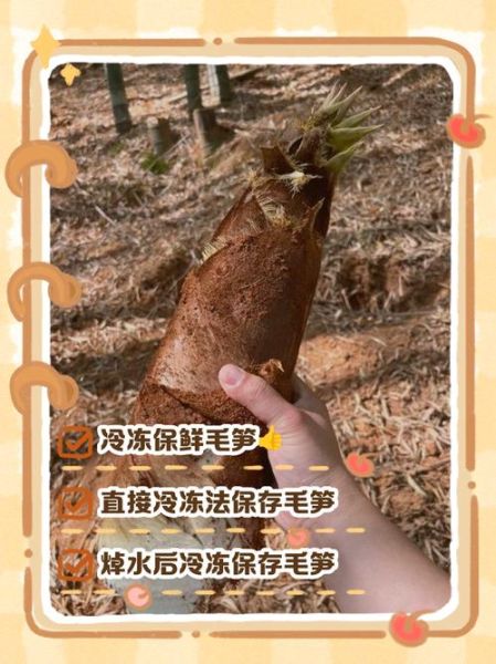 毛笋怎么保存_毛笋可以冷冻吗-第1张图片-山城妙识 毛笋怎么保存_毛笋可以冷冻吗-第1张图片-山城妙识