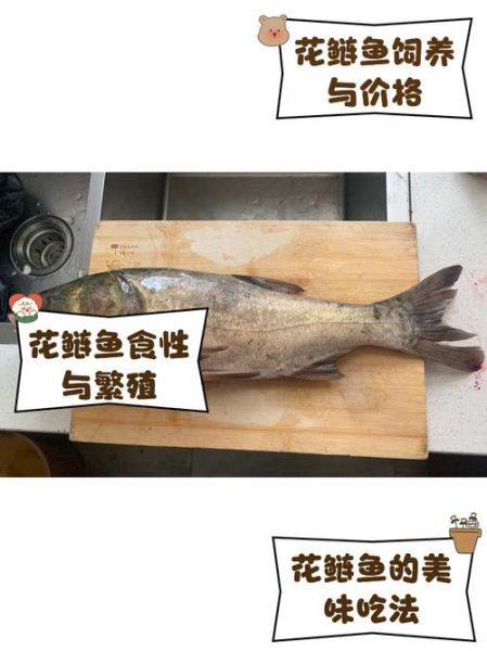 花鲢鱼的功效与作用_花鲢鱼适合什么人吃-第2张图片-山城妙识 花鲢鱼的功效与作用_花鲢鱼适合什么人吃-第2张图片-山城妙识