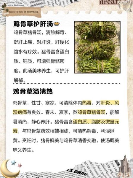 鸡骨草煲猪横利的功效与作用_孕妇能吃吗-第1张图片-山城妙识 鸡骨草煲猪横利的功效与作用_孕妇能吃吗-第1张图片-山城妙识