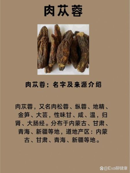 肉苁蓉配什么壮阳最猛_肉苁蓉壮阳最佳搭配-第2张图片-山城妙识 肉苁蓉配什么壮阳最猛_肉苁蓉壮阳最佳搭配-第2张图片-山城妙识
